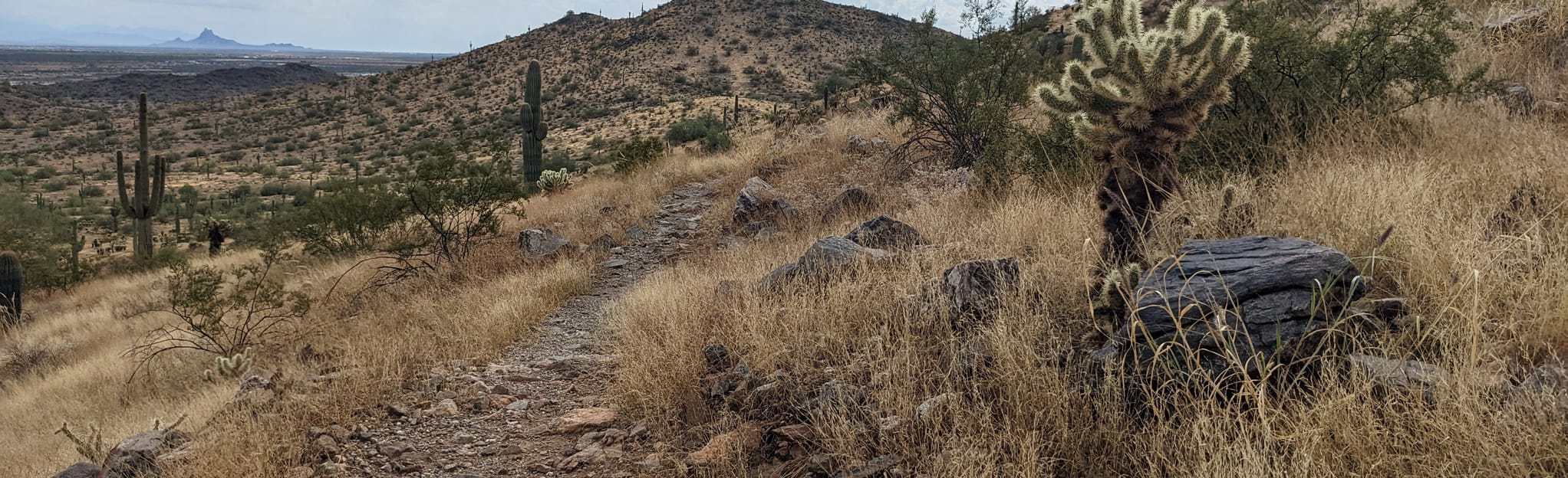Spine Trail Loop: 481 Reviews, Map - Arizona | AllTrails