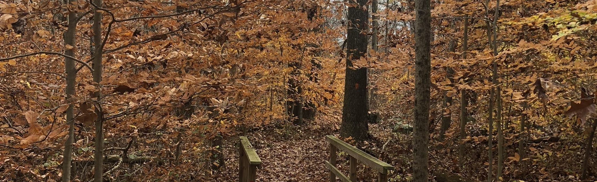 Perkiomen Orange Trail Loop, Pennsylvania - 176 Reviews, Map | AllTrails