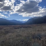 Bacon Rind Creek Trail, Montana - 87 Reviews, Map | AllTrails