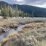 Bacon Rind Creek Trail, Montana - 87 Reviews, Map | AllTrails