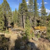 Bacon Rind Creek Trail, Montana - 87 Reviews, Map | AllTrails