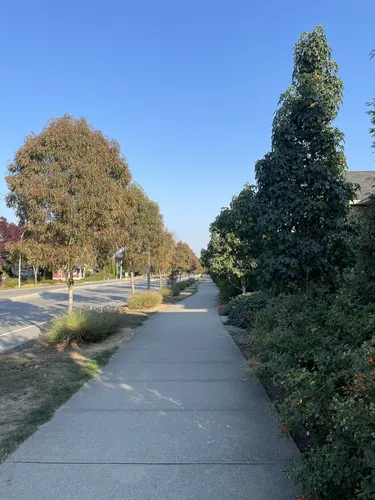 Best City Walk Trails in Langley | AllTrails