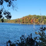Council Bluff Lake Loop, Missouri - 257 Reviews, Map | AllTrails