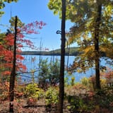 Council Bluff Lake Loop, Missouri - 257 Reviews, Map | AllTrails