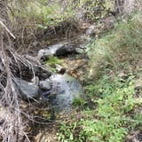 Barker Valley Spur Trail, California - 142 Reviews, Map | AllTrails