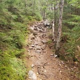 White Rocks Recreation Area Trail via Long Trail (Appalachian Trail ...