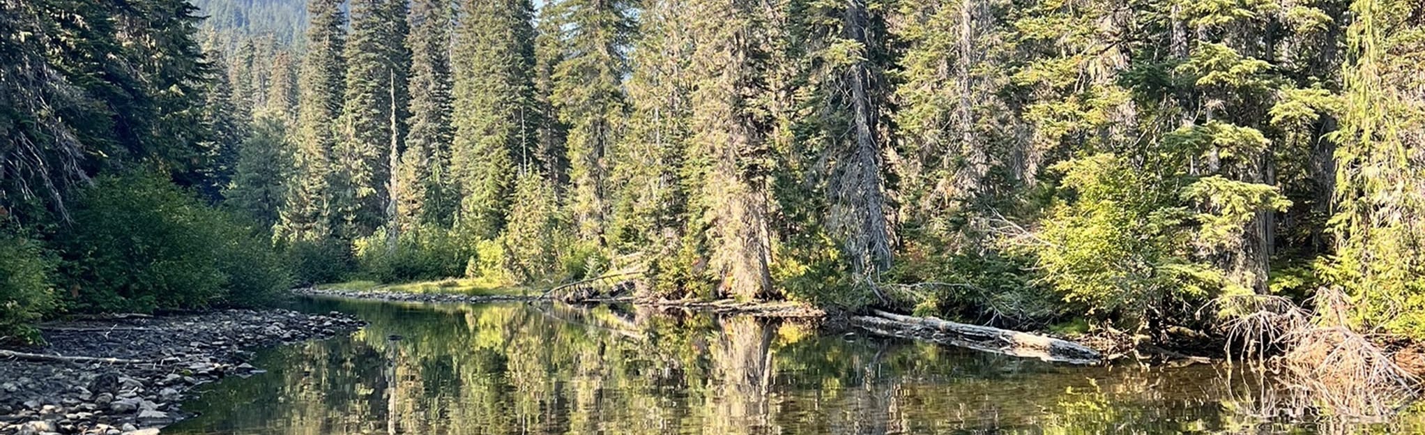 Spade Lake and Venus Lake via Waptus River Trail: 202 Reviews, Map ...