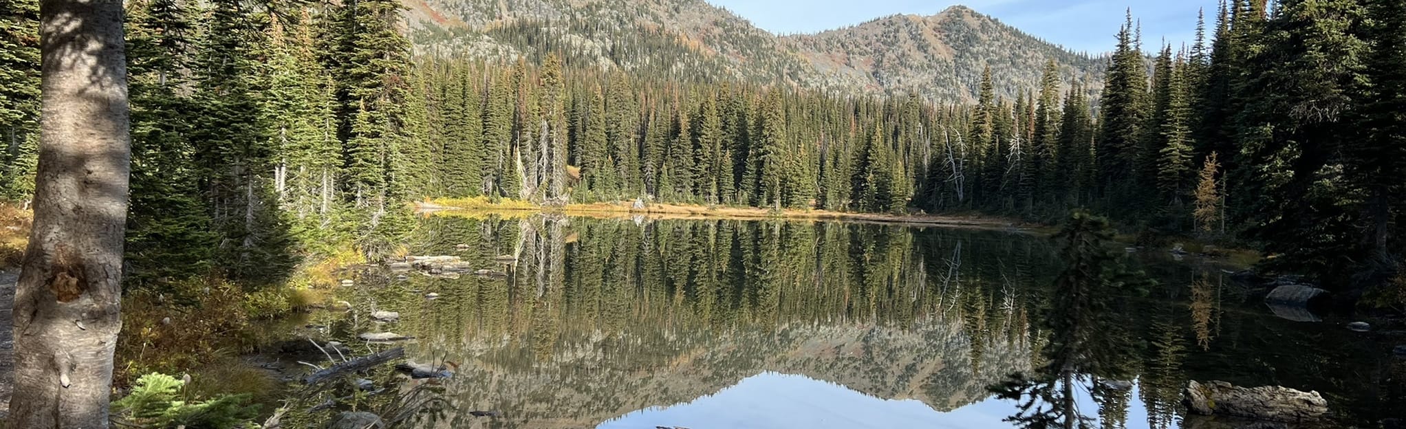 Bluebird Lake Via Highline Trail: 61 Reviews, Map - Montana | AllTrails
