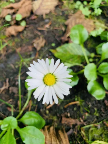 Best Hikes and Trails in Hoko River / Cowan Ranch State Park | AllTrails