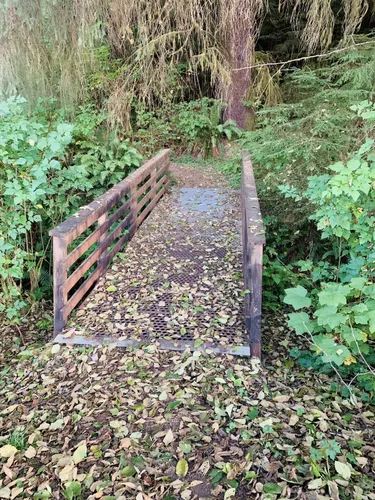 Best Hikes and Trails in Hoko River / Cowan Ranch State Park | AllTrails