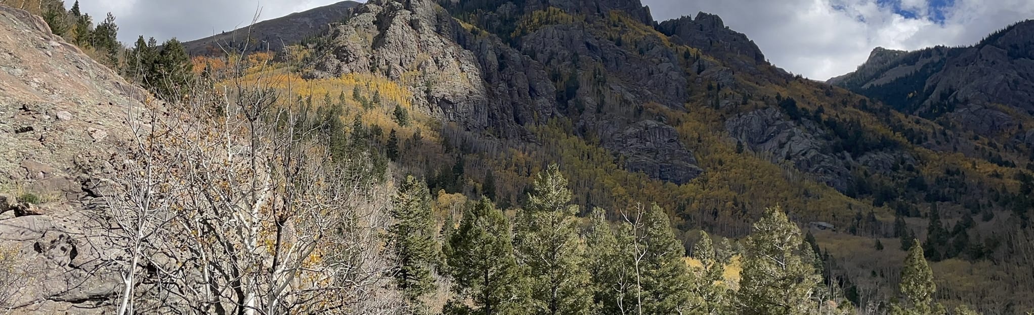 North Crestone Creek Trail, Colorado - 152 Reviews, Map | AllTrails