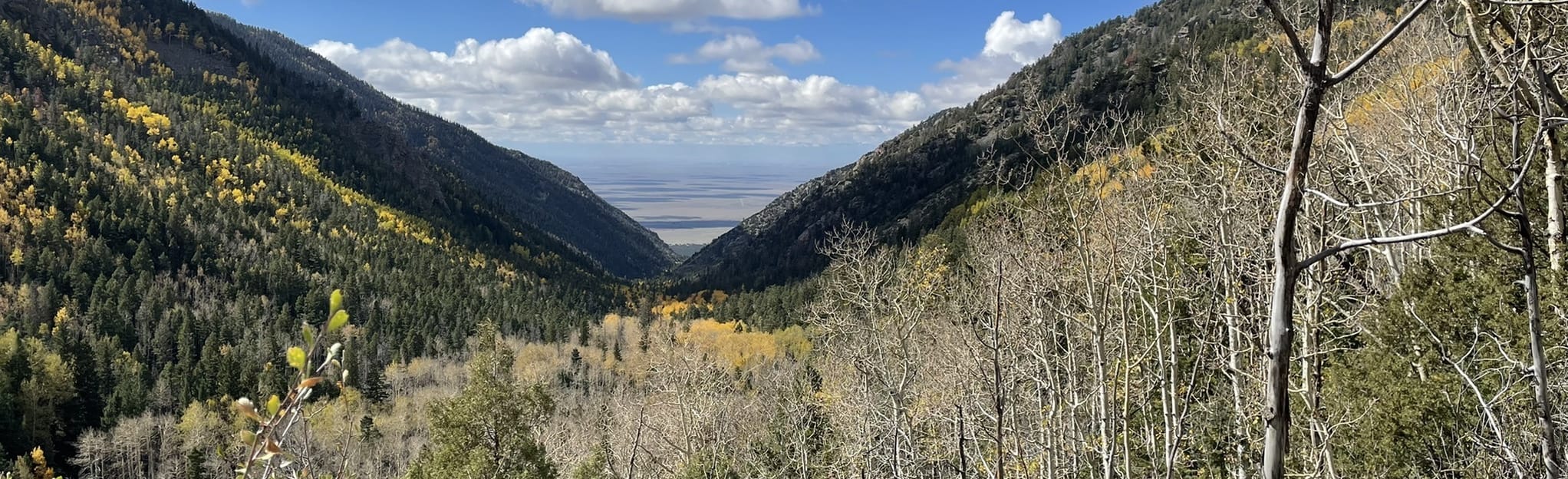 North Fork Crestone Trail, Colorado - 15 Reviews, Map | AllTrails