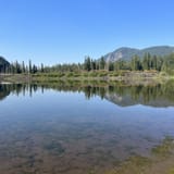 Linton Lake Trail, Oregon - 224 Reviews, Map | AllTrails