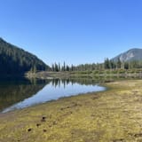 Linton Lake Trail, Oregon - 224 Reviews, Map | AllTrails