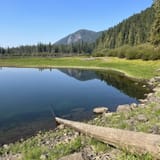 Linton Lake Trail, Oregon - 224 Reviews, Map | AllTrails