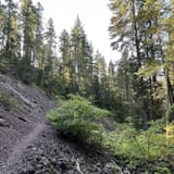 Linton Lake Trail, Oregon - 224 Reviews, Map | AllTrails