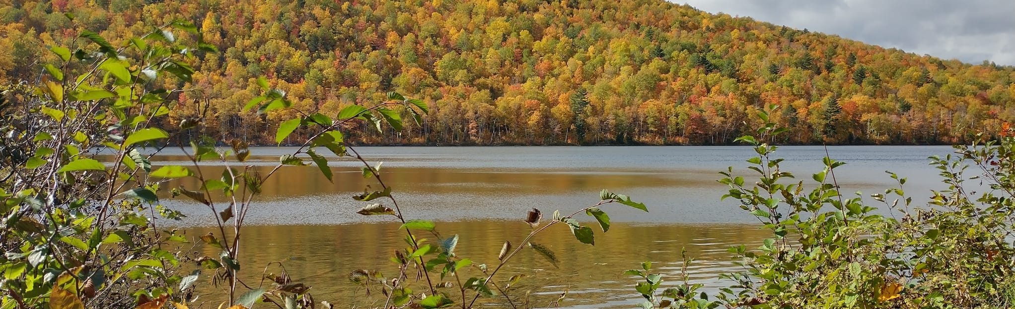 Howe Brook Trail: 44 Reviews, Map - Maine | AllTrails