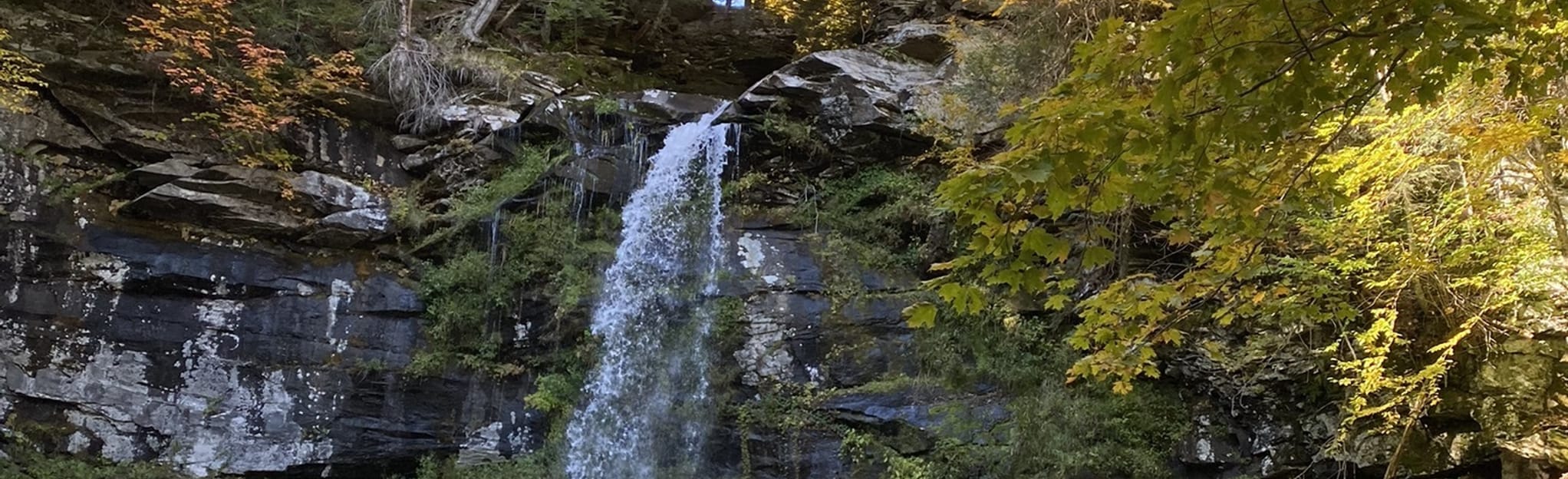 Platte Clove Nature Trail, New York - 59 Reviews, Map | AllTrails
