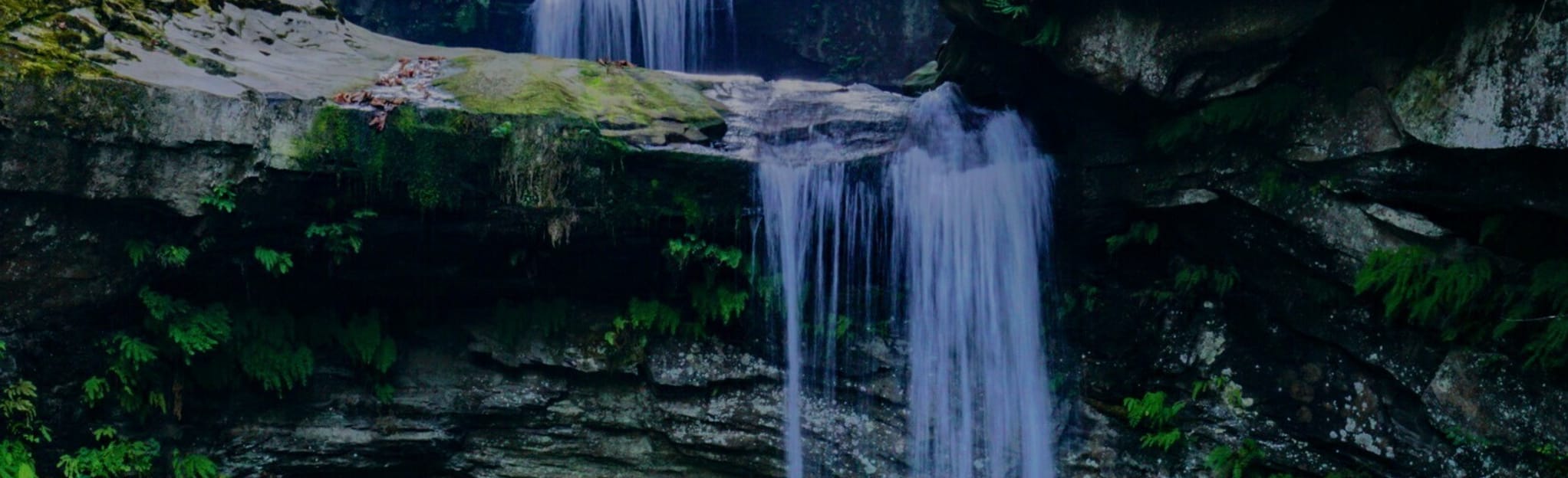 Racehorse Falls Trail, Washington - 344 Reviews, Map | AllTrails