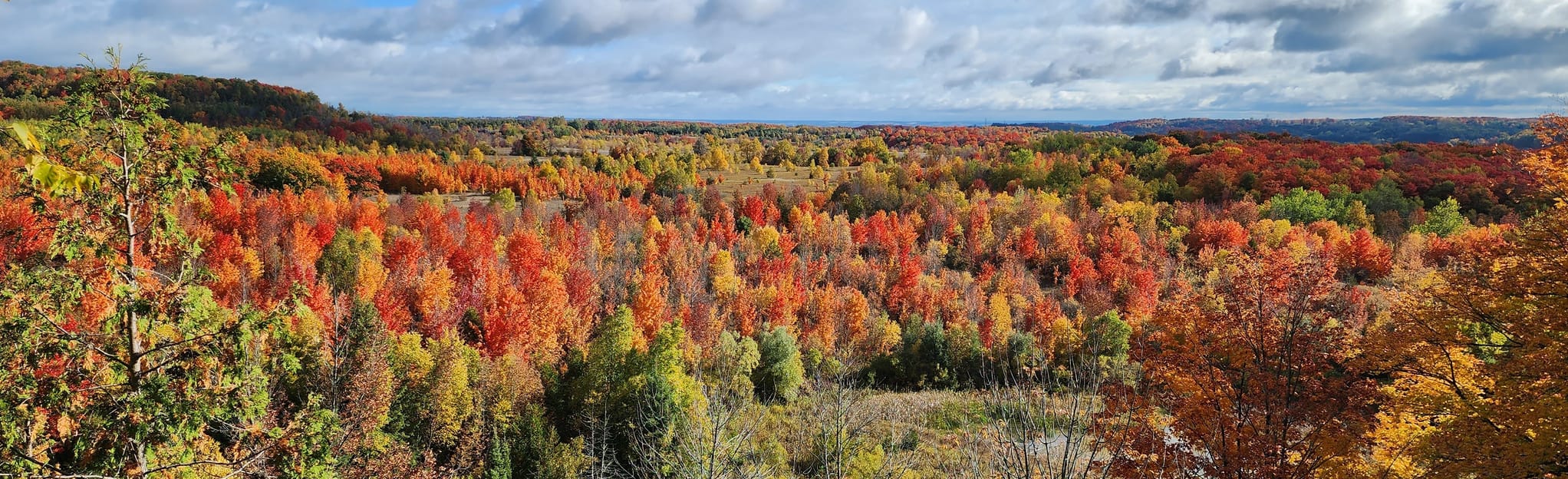 Carriage - Spillway - Lookout - McCarsten's Lake - Clifftop: 534 ...