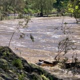 Galatea Point & Dights Falls Loop, Victoria, Australia - 259 Reviews ...