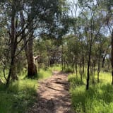 Galatea Point & Dights Falls Loop, Victoria, Australia - 259 Reviews ...