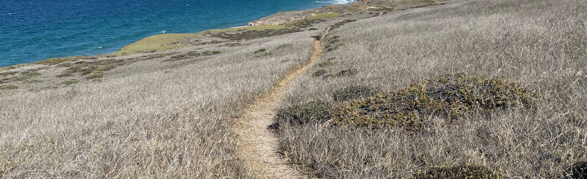 Skunk Point Loop, California - 19 Reviews, Map | AllTrails