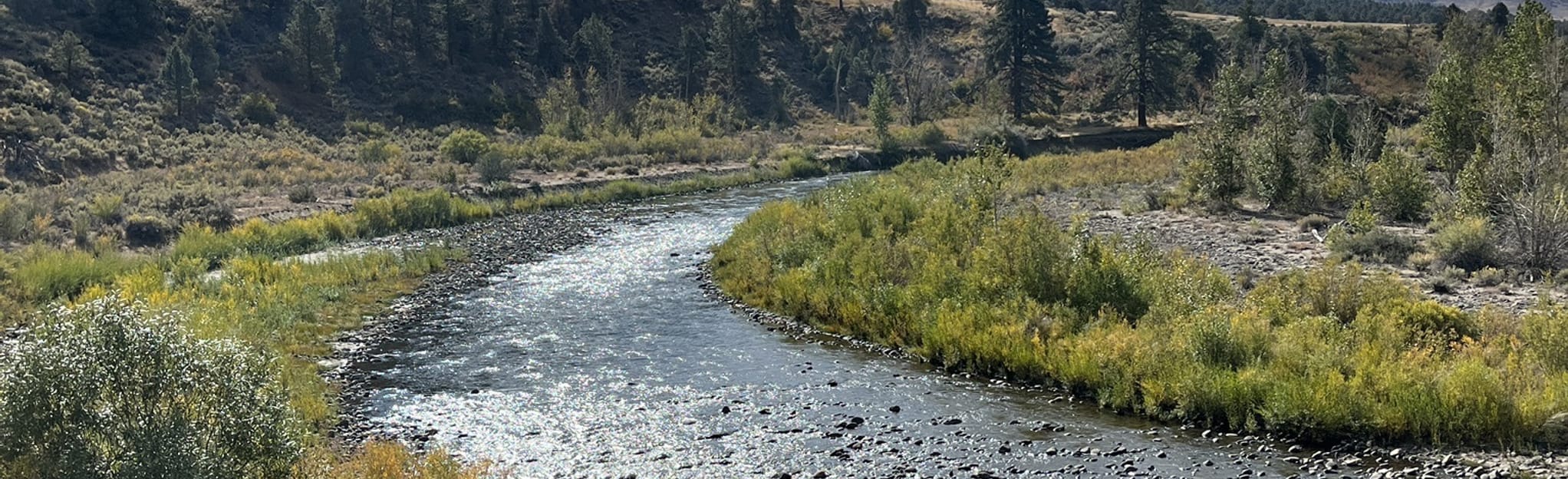 Barney Riley OHV Trail to Highway 395: 48 Fotos - Kalifornien | AllTrails