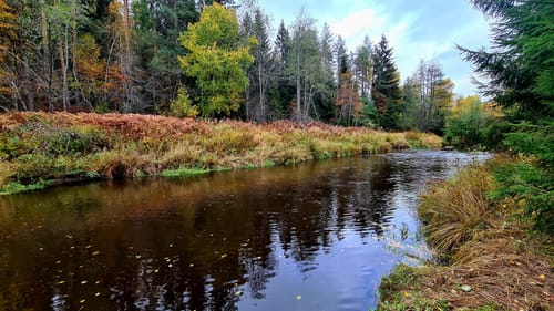 2023 Best 10 Trails and Hikes in Russia | AllTrails