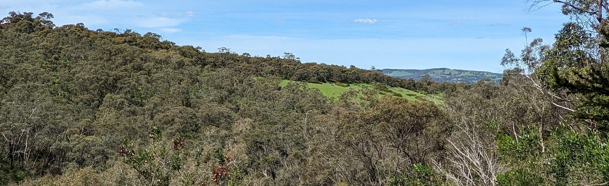 Onkaparinga Gorge: Sundews, Bakers Gully, and Echidna Hike - South ...