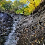 Chedoke Stairs, Ontario, Canada - 64 Reviews, Map | AllTrails