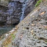 Chedoke Stairs, Ontario, Canada - 64 Reviews, Map | AllTrails