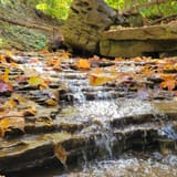 Chedoke Stairs, Ontario, Canada - 64 Reviews, Map | AllTrails