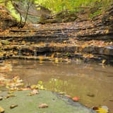Chedoke Stairs, Ontario, Canada - 64 Reviews, Map | AllTrails