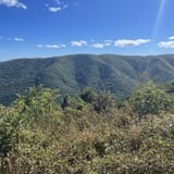 Black Ridge Trail, Virginia - 519 Reviews, Map | AllTrails