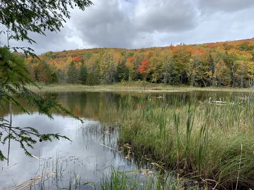 Best 10 Hikes and Trails in Pretty River Valley Provincial Park | AllTrails
