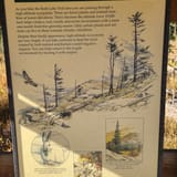 Ruth Lake Trail, Utah - 377 Reviews, Map | AllTrails