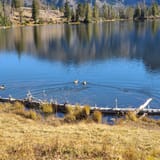 Ruth Lake Trail, Utah - 377 Reviews, Map | AllTrails