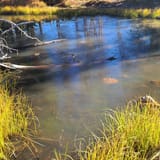 Ruth Lake Trail, Utah - 436 Reviews, Map | AllTrails