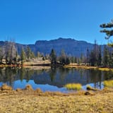 Ruth Lake Trail, Utah - 436 Reviews, Map | AllTrails