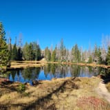 Ruth Lake Trail, Utah - 436 Reviews, Map | AllTrails