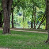 Virginius Island Trail, West Virginia - 203 Reviews, Map | AllTrails