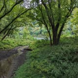 Virginius Island Trail, West Virginia - 203 Reviews, Map | AllTrails