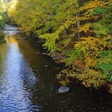 Bee Brook Loop, Connecticut - 912 Reviews, Map | AllTrails