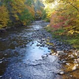 Bee Brook Loop, Connecticut - 912 Reviews, Map | AllTrails