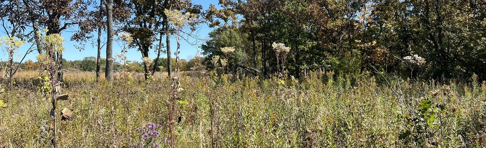 Ice Age Trail Cross Plains Segment, Wisconsin - 242 Reviews, Map ...