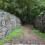 Virginius Island Trail, West Virginia - 203 Reviews, Map | AllTrails