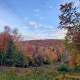 Busby Trail, Spruce Hill Lost Pond and Blackburnian Loop, Massachusetts ...