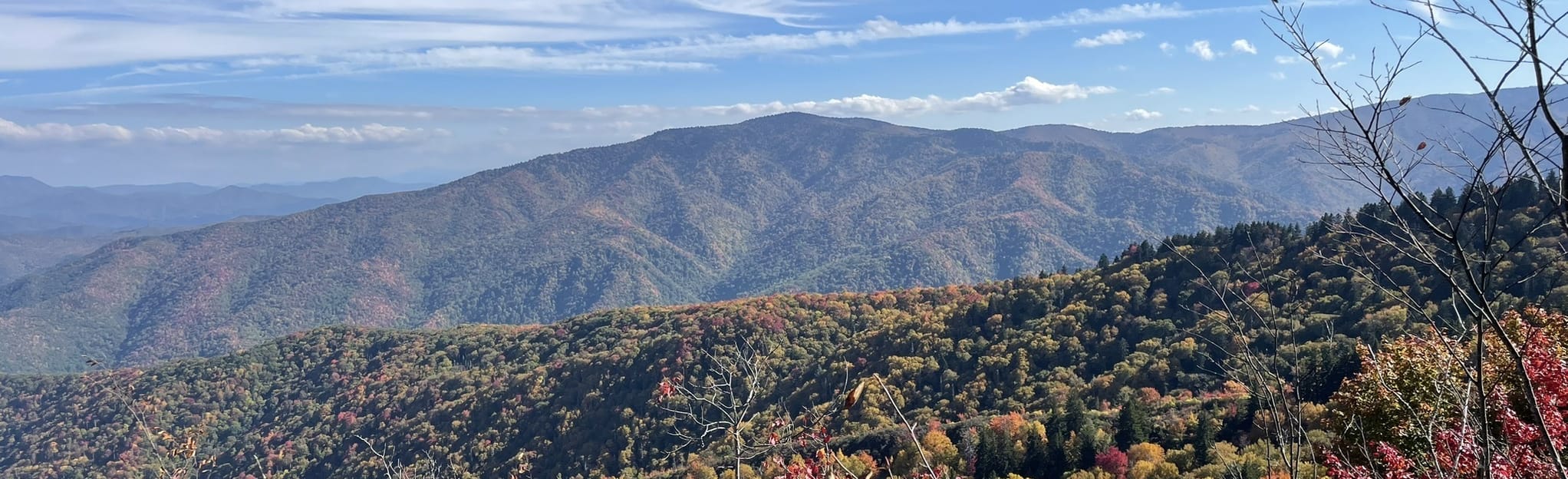 Mount Cammerer via Groundhog Ridge Manway, Tennessee - 15 Reviews, Map ...