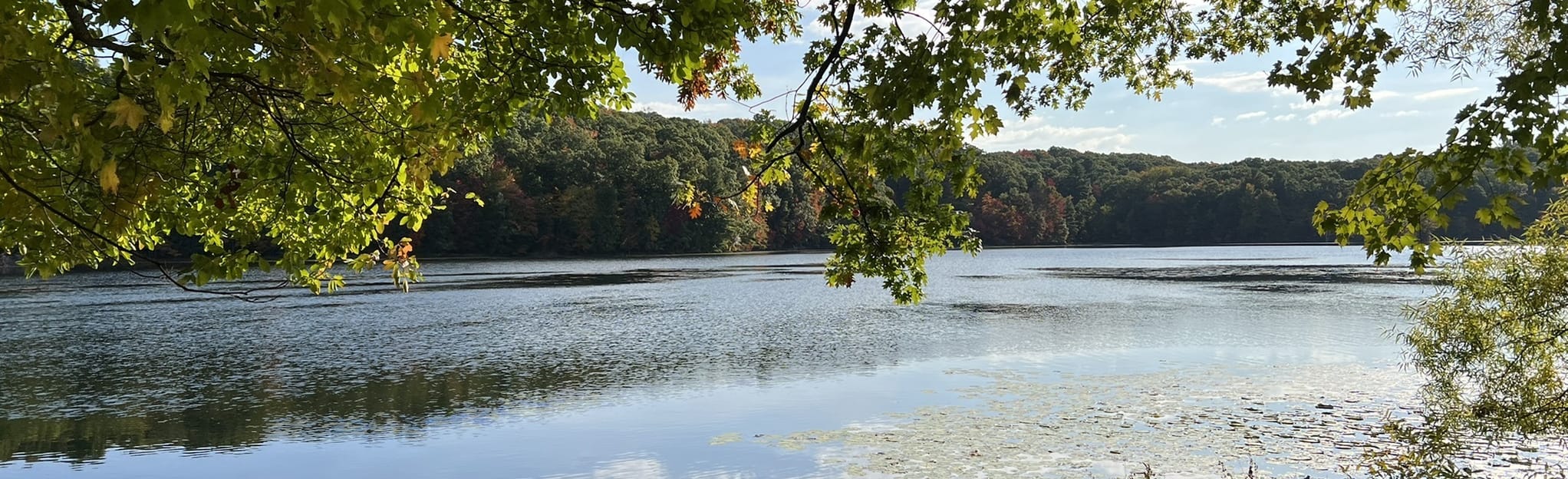 Graves Hill Overlook, Devil's Soup Bowl and Hall Lake Loop : 517 ...